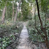 Glover-Archbold Trail, District of Columbia - 488 Reviews, Map | AllTrails