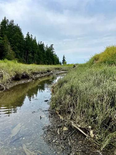 Best Hikes and Trails in English Boom Trail County Park | AllTrails