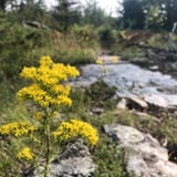 Mantario Hiking Trail, Manitoba, Canada - 239 Reviews, Map | AllTrails