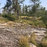 Mantario Hiking Trail, Manitoba, Canada - 239 Reviews, Map | AllTrails