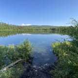 Talkeetna Lake Trail, Alaska - 586 Reviews, Map | AllTrails