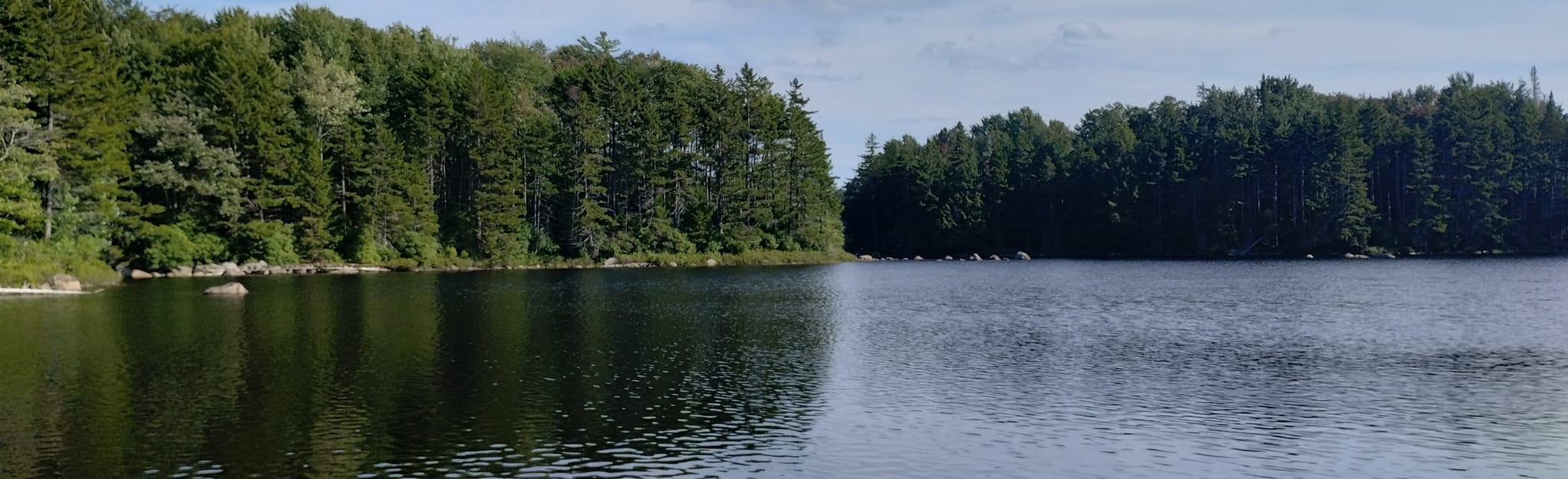 Gull Lake Trail: 133 Reviews, Map - New York | AllTrails