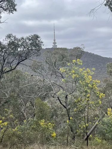 Best Hikes and Trails in Aranda Bushland Nature Reserve | AllTrails