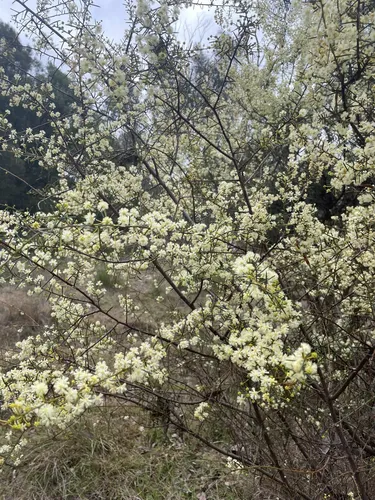 Best Hikes and Trails in Aranda Bushland Nature Reserve | AllTrails