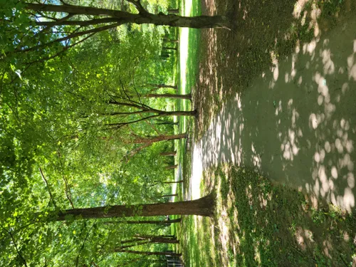 Best Walking Trails in Ballenger Creek Park | AllTrails