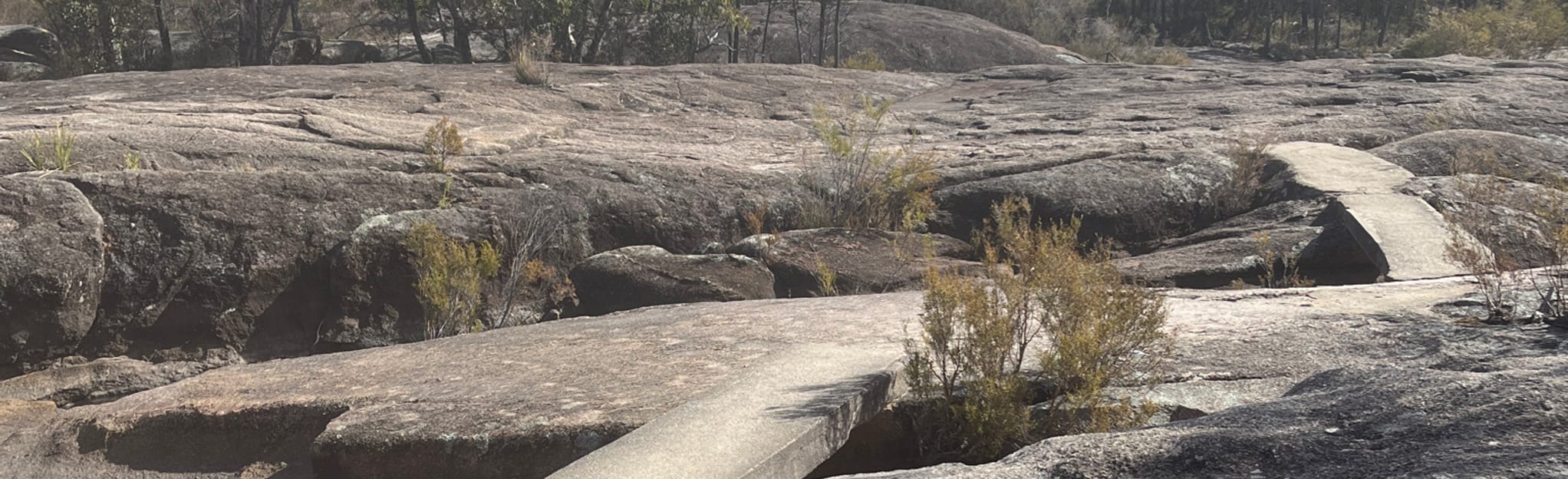 Granite Arch Track, Queensland, Australia - 26 Reviews, Map | AllTrails