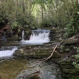 Red Fork Falls Trail, Tennessee - 249 Reviews, Map | AllTrails