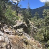 Sutton/Neosho Mine Trail, Colorado - 348 Reviews, Map | AllTrails