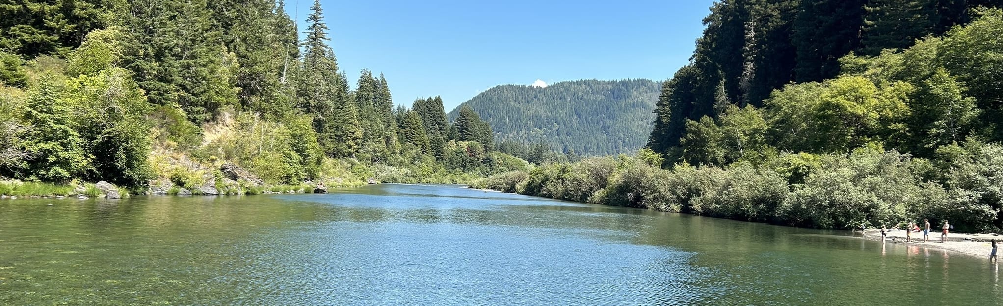 Stout Memorial Grove Trail, California - 2,245 Reviews, Map | AllTrails