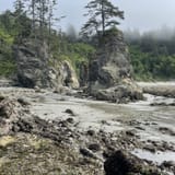 Third Beach Trail to Taylor Point, Washington - 860 Reviews, Map ...