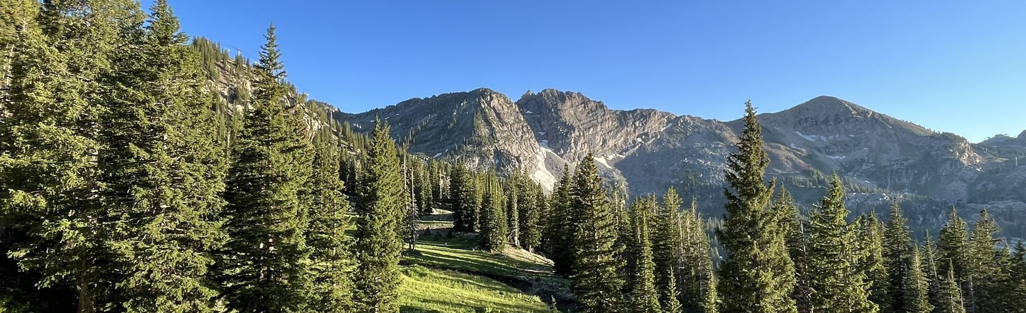 AllTrails | Snake Creek Canyon Road to Albion Basin Campground: 13 ...