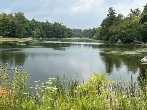 Best Hikes and Trails in Springwater Conservation Area | AllTrails