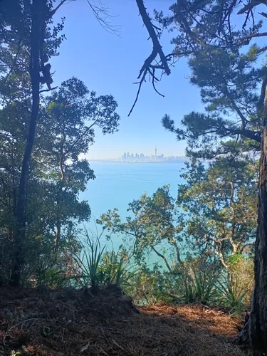 Best Hikes and Trails in Kauri Point Centennial Park | AllTrails