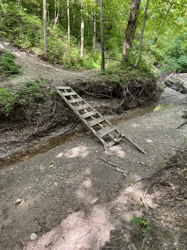 Best Hikes and Trails in Cliffside Park | AllTrails