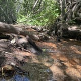 Chamisa Trail, New Mexico - 1,174 Reviews, Map | AllTrails
