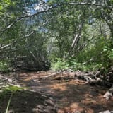 Chamisa Trail, New Mexico - 1,174 Reviews, Map | AllTrails