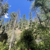 Chamisa Trail, New Mexico - 1,174 Reviews, Map | AllTrails