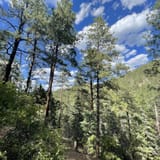 Chamisa Trail, New Mexico - 1,174 Reviews, Map | AllTrails