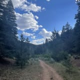 Chamisa Trail, New Mexico - 1,174 Reviews, Map | AllTrails