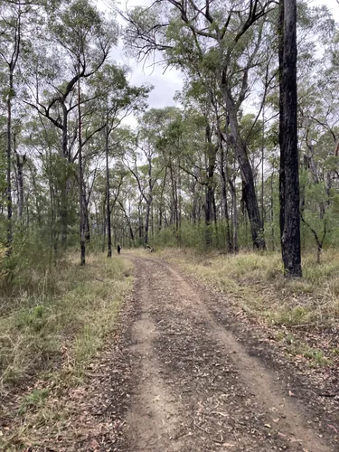 10 Best Trails and Hikes in Mulgoa | AllTrails