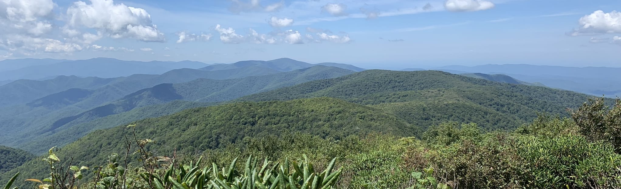 Rocky Top via Anthony Creek Trail, Tennessee - 280 Reviews, Map | AllTrails