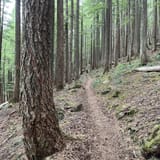 Eagle Creek Trail, Oregon - 798 Reviews, Map | AllTrails