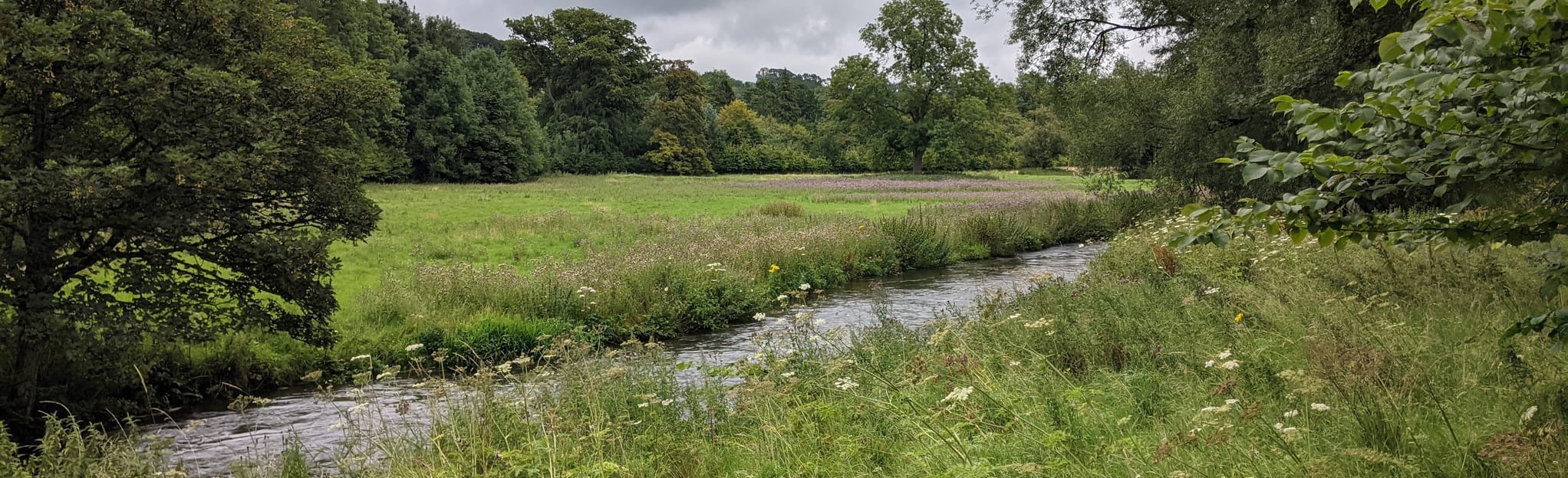 Monsal Trail, Ashford in the Water and Bakewell Circular: 146 Reviews ...