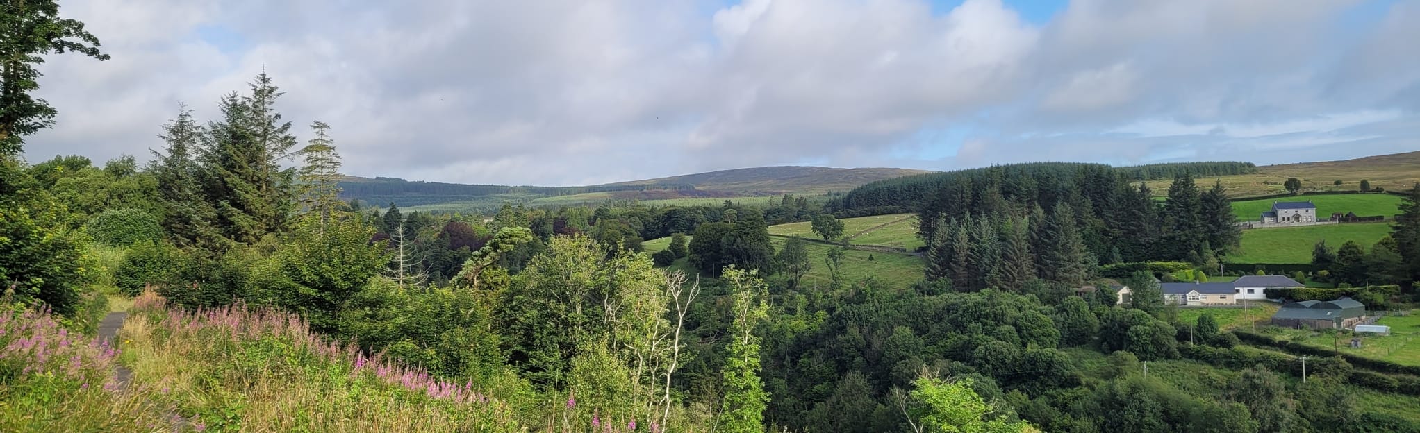 Glenariff Forest Park, Viewpoint Trail, Mid and East Antrim, Northern ...