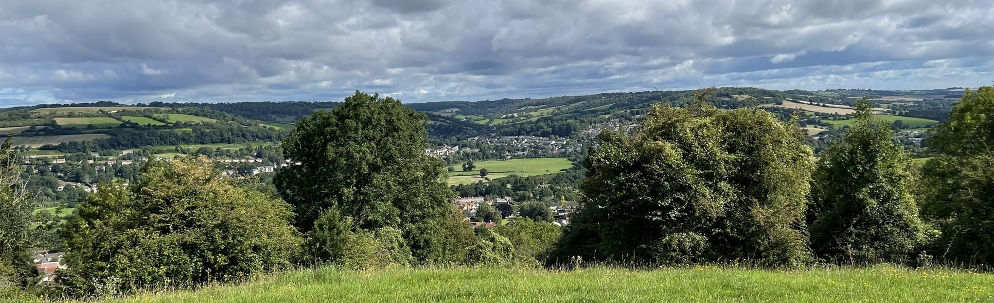 Bushey Norwood, Bathampton Wood and Sham Castle Circular, Somerset ...