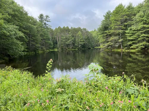 Best Hikes and Trails in Dodge Point Public Reserved Land | AllTrails