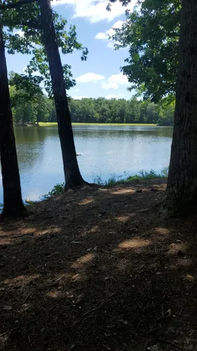 Best Hikes and Trails in John Tanner State Park | AllTrails