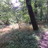 Deer Run Trail, Missouri - 773 Reviews, Map | AllTrails