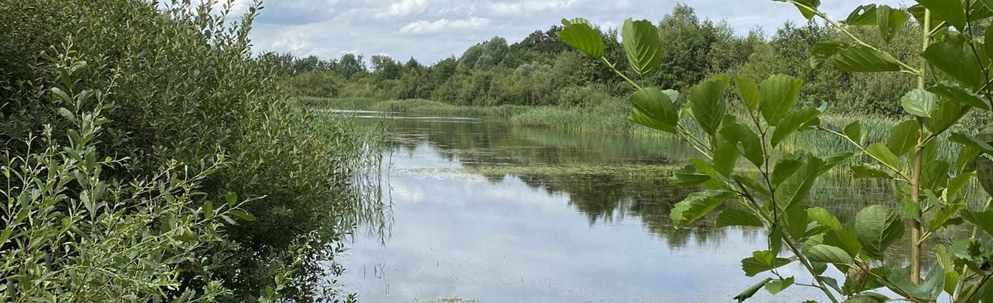 Wandelroute Westerbroek, Groningen, Netherlands - 10 Reviews, Map ...