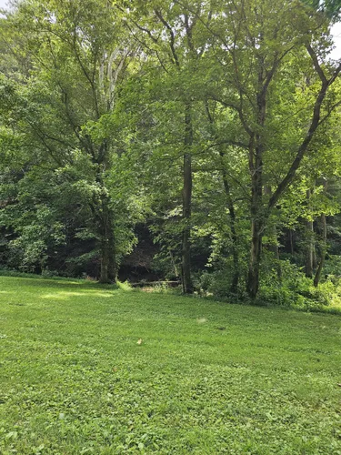 Best Hikes and Trails in Fort Duffield Park | AllTrails