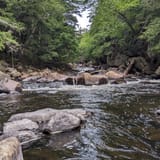 Auger Falls Loop, New York - 599 Reviews, Map | AllTrails