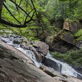 Auger Falls Loop, New York - 599 Reviews, Map | AllTrails