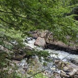 Auger Falls Loop, New York - 599 Reviews, Map | AllTrails