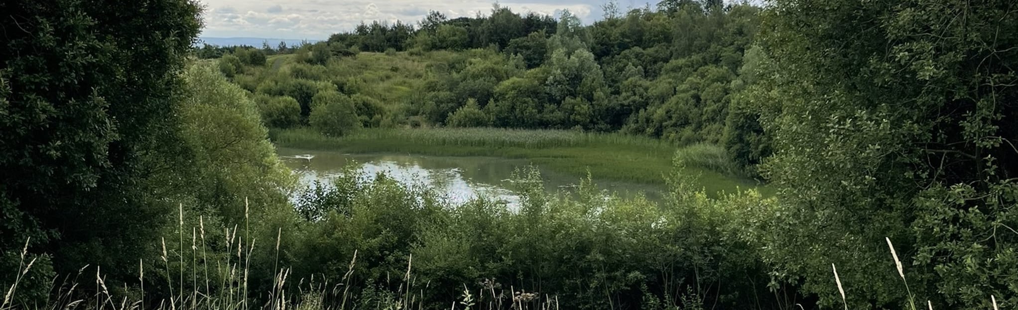 Formonthills, Rind Hill and Coul Den Circular: 12 Reviews, Map - Fife ...