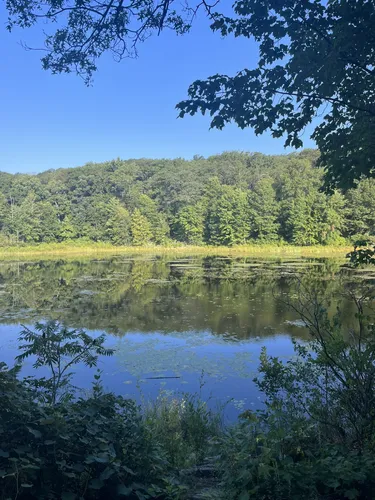 2023 Best Wild Flowers Trails in Kent Cliffs | AllTrails