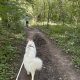 Health Valley Trail , Ontario, Canada - 379 Reviews, Map | AllTrails