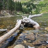 Lost Lake Trail, New Mexico - 287 Reviews, Map | AllTrails