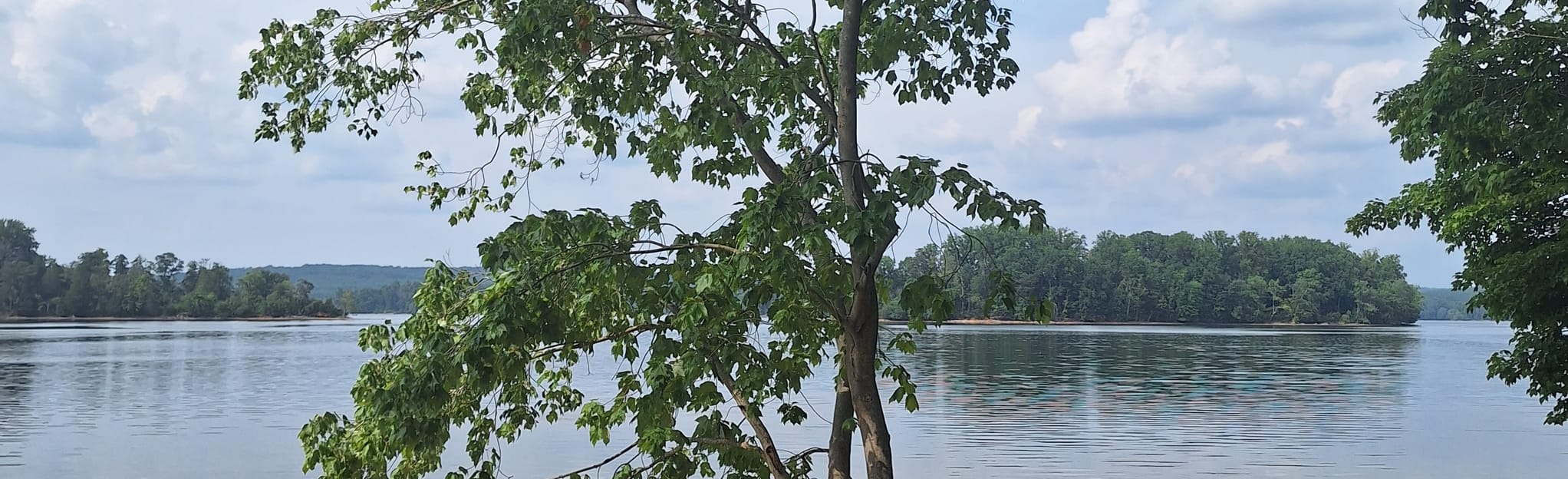 Glen Ellen Trail and Sam's Grave Trail Loop: 902 foto's - Maryland ...