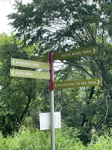 Best Hikes and Trails in Anderson Point Park | AllTrails