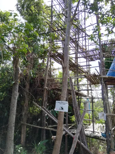 Best Hikes and Trails in Simpang Pertang | AllTrails