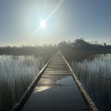 Apoxee and Owahee Trail Loop, Florida - 321 Reviews, Map | AllTrails