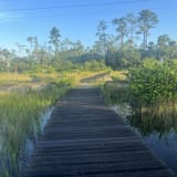 Apoxee and Owahee Trail Loop, Florida - 321 Reviews, Map | AllTrails