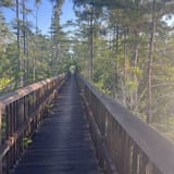 Apoxee and Owahee Trail Loop, Florida - 321 Reviews, Map | AllTrails