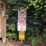 Apoxee and Owahee Trail Loop, Florida - 321 Reviews, Map | AllTrails