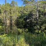 Apoxee and Owahee Trail Loop, Florida - 321 Reviews, Map | AllTrails