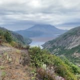 Norway Pass via Boundary Trail, Washington - 338 Reviews, Map | AllTrails